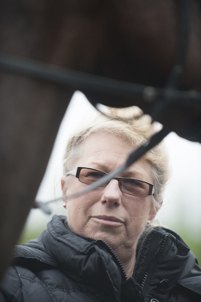 Mary Robins: A wordwide dressage trainer - Equilife World