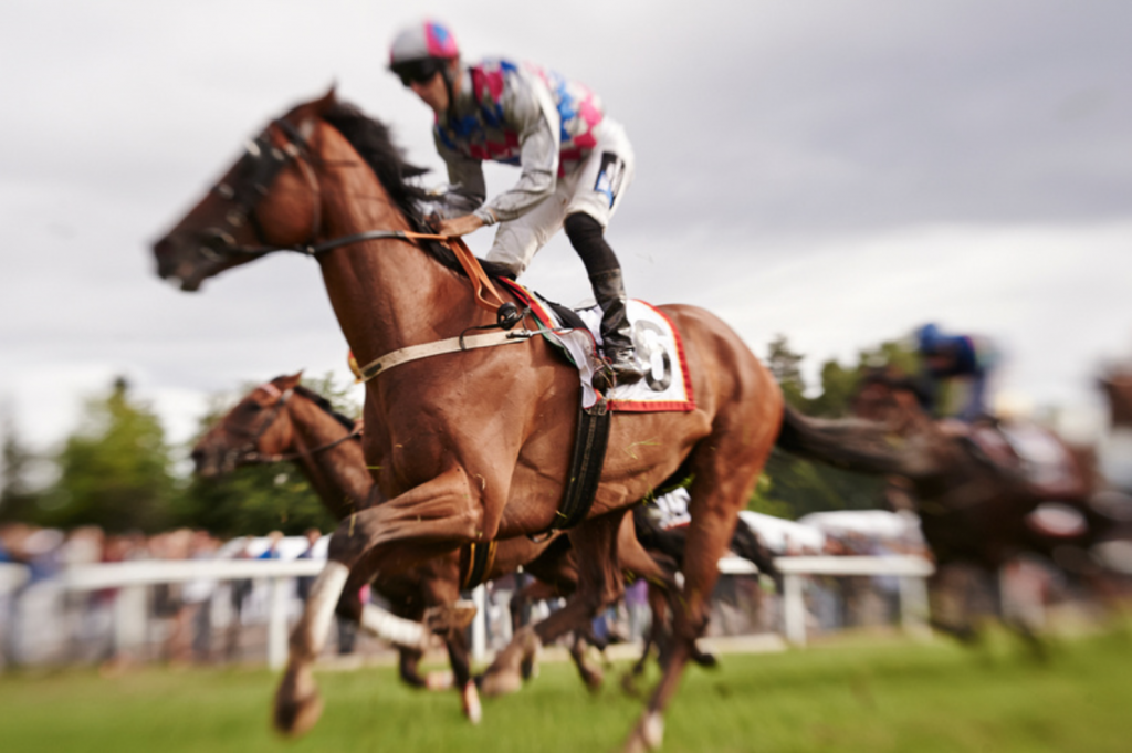 THE SOUND OF GALLOPING HORSES - Equilife World