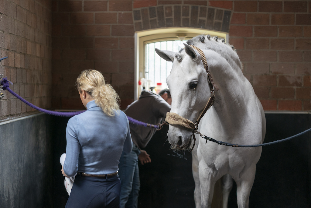 Portuguese Dressage Riders make history - Equilife World