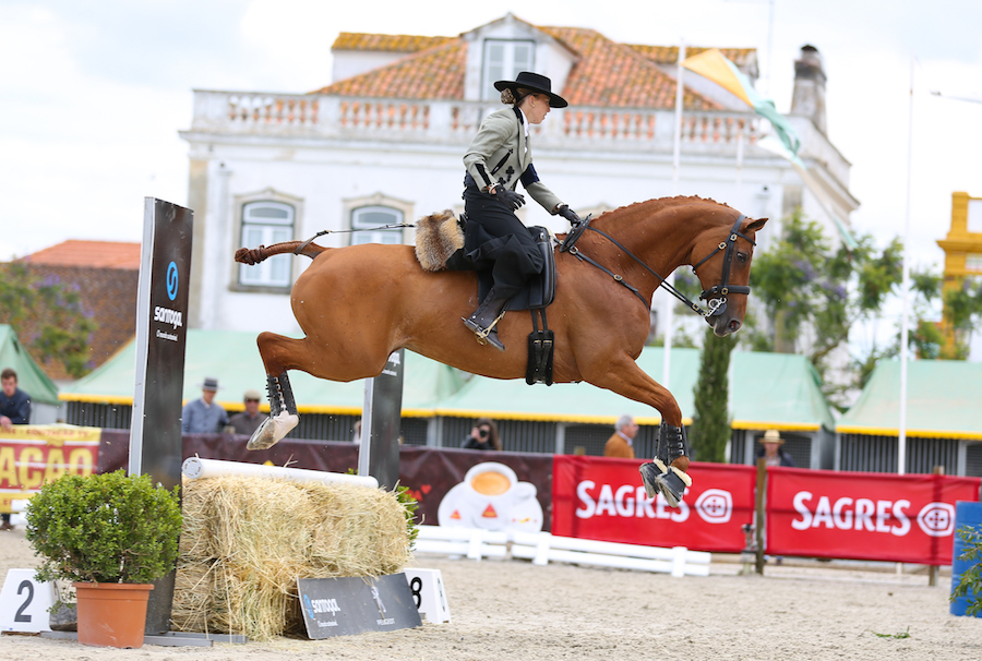 WORKING EQUITATION - A complete sport - Equilife World