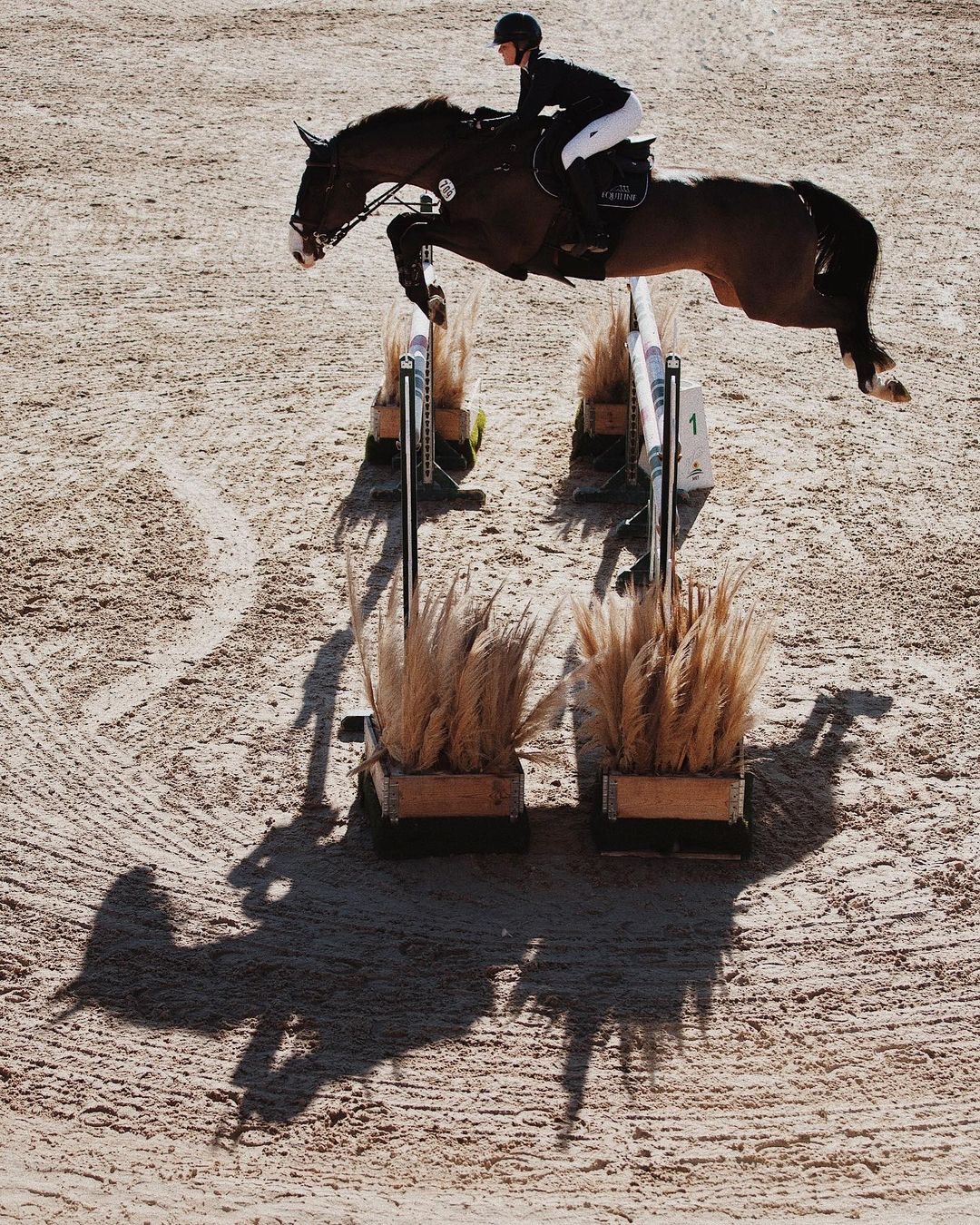 Ten years of the Mediterranean Equestrian Tour - Equilife World