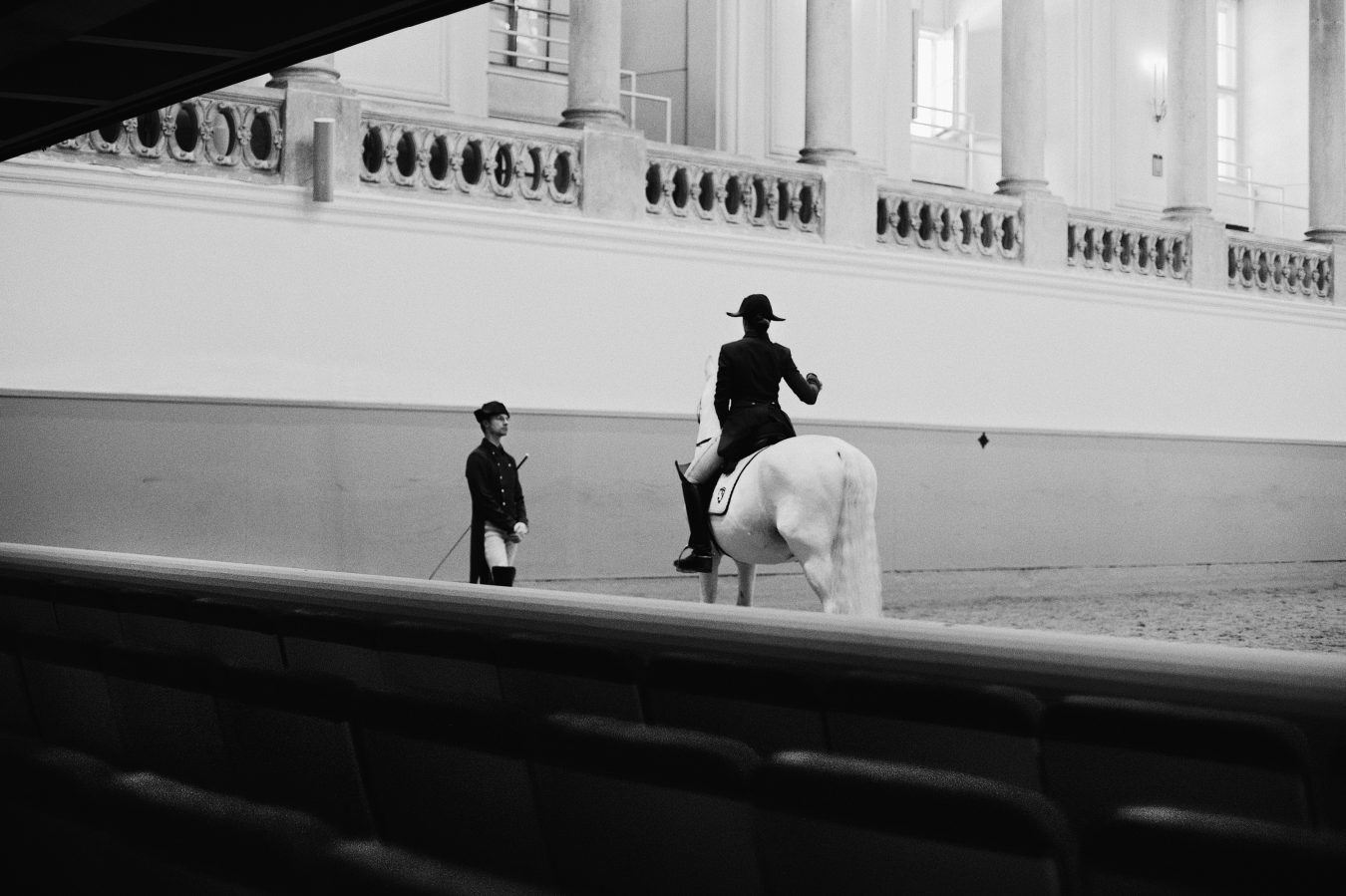 What It Takes To Perform The Ballet of the White Stallions - Equilife World